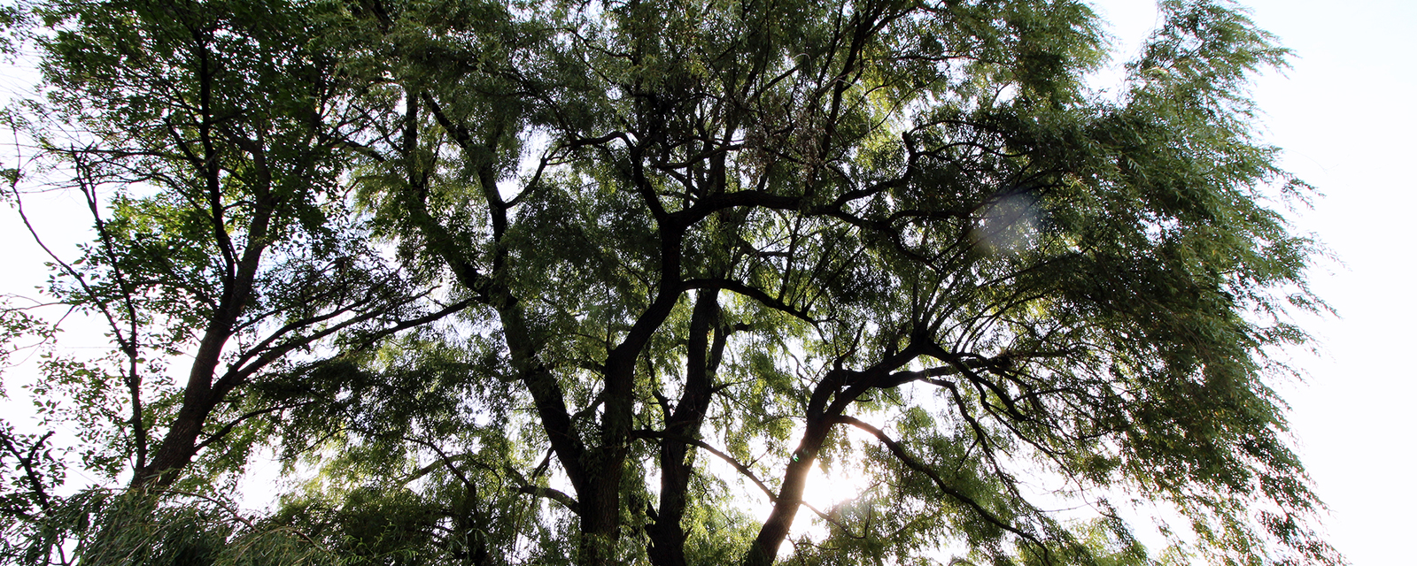 WLS.PSI.Nondegreeprograms | Wisconsin Lutheran Seminary